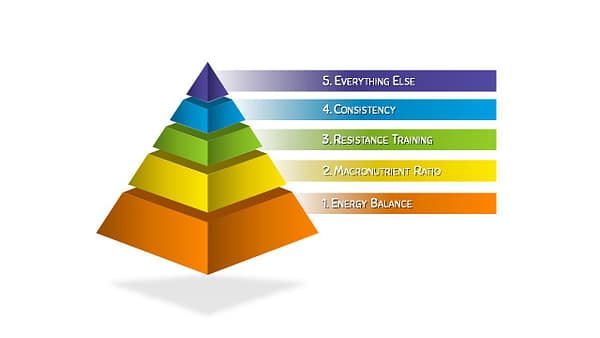 WebinarSignup - The Body Transformation Blueprint